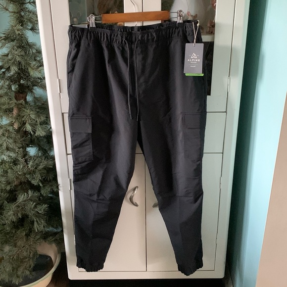 Alpine Design | Pants | Alpine Design Sz L Modern Jogger Cargo Pants ...